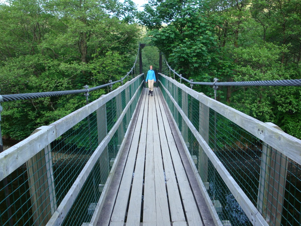 GGW: our story part 2